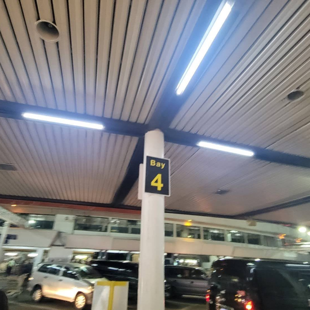 バックワイズ 留学のしおり - Backwise